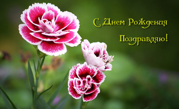 Поздравительная открытка ко дню рождения